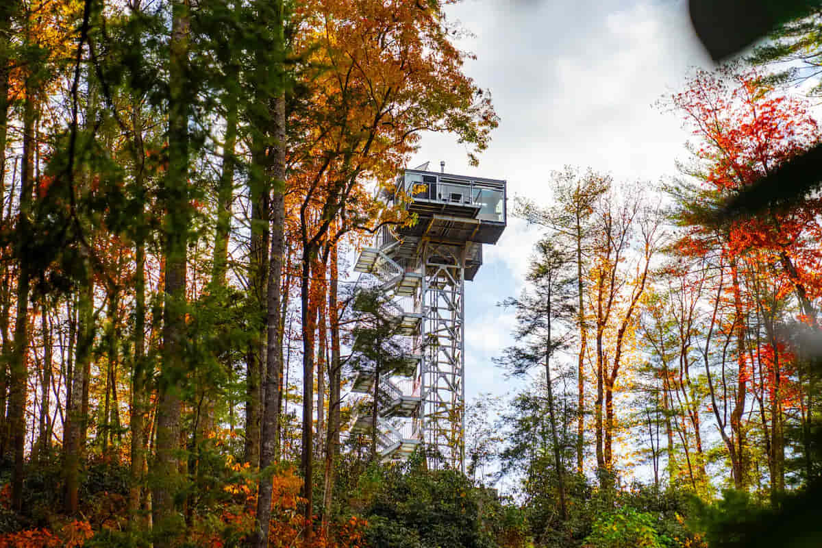 River Forest Lookout - Discover Containers