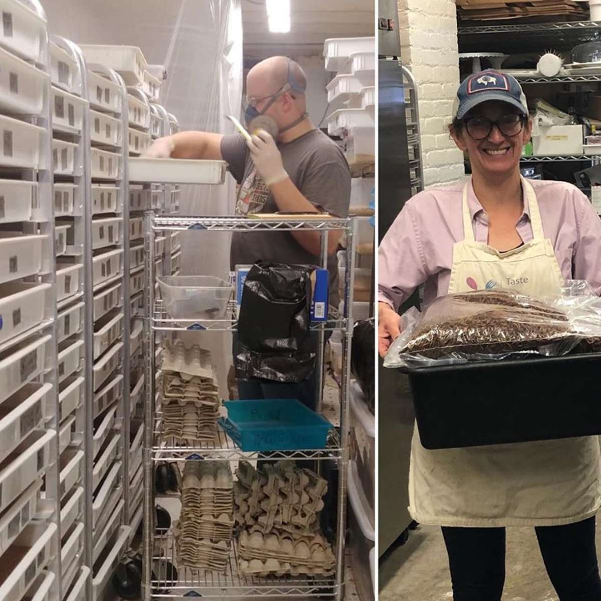 Ultimate Guide to Shipping Container Farms - Discover Containers